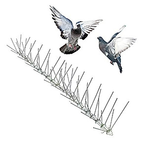 Bird-X Standard (STS-10-R) STAINLESS STEEL SPIKES-10, 10 feet