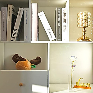 Mandy's 1pcs Artificial Colorful Rose Flowers 9.5" with Elegant Gift Box for Mother’s Day, Memorable Days, Birthday, Valentine's Day