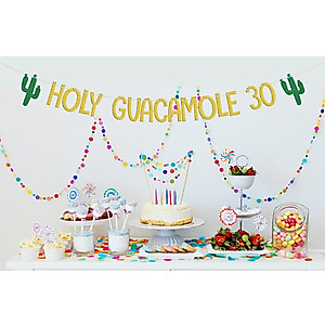 Holy Guacamole 30 Banner, Mexican Fiesta 30th Birthday Decorations, Taco Cactus Thirty Birthday Anniversary Cinco De Mayo Theme Party Supplies Gold Green