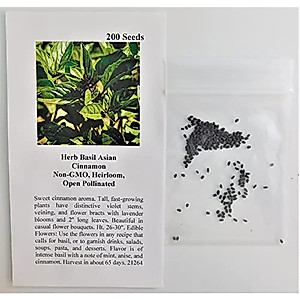 David's Garden Seeds Herb Basil Asian Cinnamon 8475 (Violet) 200 Non-GMO, Heirloom Seeds