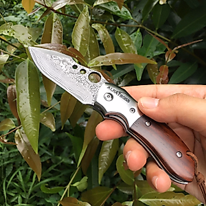 ALBATROSS HGDK007 EDC Sharp Damascus Folding Pocket Knife with Liner Lock-Cote D'Ivoire Sandalwood Handle,Gifts/Collections