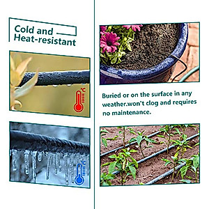 Daisypower 1/4 inch Blank Distribution Tubing Drip Irrigation Hose,50ft Soft Watering Tube for Small Lawn Garden Irrigation System