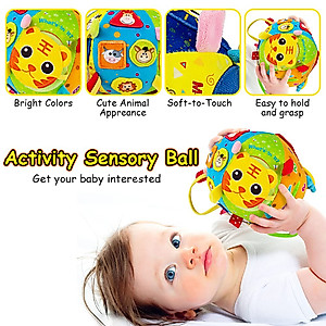 Busy Sensory Ball Baby Toys for 0-12 Months,Developmental Activity Ball Infant Toys with Baby Rattles Teether Crinkle Sounds,Discover Ball Gifts,Easy to Grasp Encourage Tummy Time Fine Motor Skills