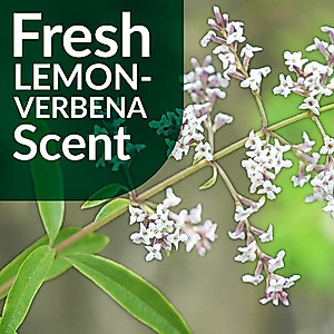 Simple Green Multi-Surface Floor Care - Cleans Hardwood, Vinyl, Laminate, Tile, Concrete and Other Wood - pH Neutral Floor Cleaner 32oz