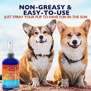 EBPP Dog Sunscreen Sun Skin Protector Spray 8 fl oz - Safe for All Breeds with No Zinc Oxide - Pet Protection and Moisturizer for Skin, Coat, Nose, Ears