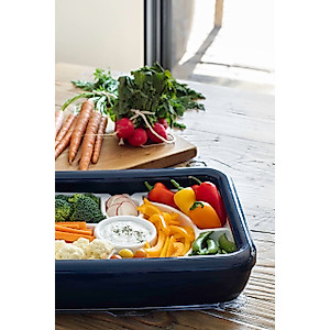 Fancy Panz Trayz Insert, Made in the USA, Fits Classic & Premium Fanzy Panz, Charcutereie & Veggie Trayz Insert