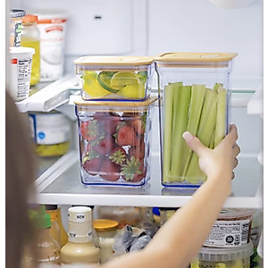 Red Panda Bamboo Plastic BPA free food storage containers with airtight bamboo lids, 3 piece set, meal prep containers