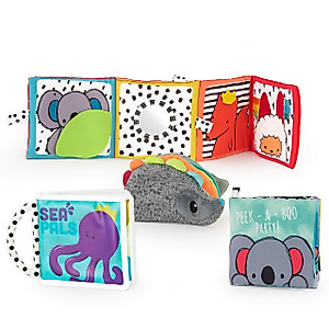 Sassy Rookie Books Baby Box - 2+ Months