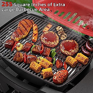 Portable Gas Grill, Portable Propane Grill, Propane Gas Grill, 24,000 BTU Outdoor Tabletop Small BBQ Grill with Two Burners, Removable Side Tables, Gas Hose and Regulator, Built in Thermometer, Red