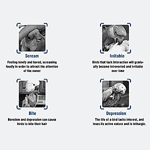 Budgie Toys Rat cage Accessories 18×13×6 pet Hamster Soft Long Climbing Rope Ladder Suspension Bridge for Birds Toy