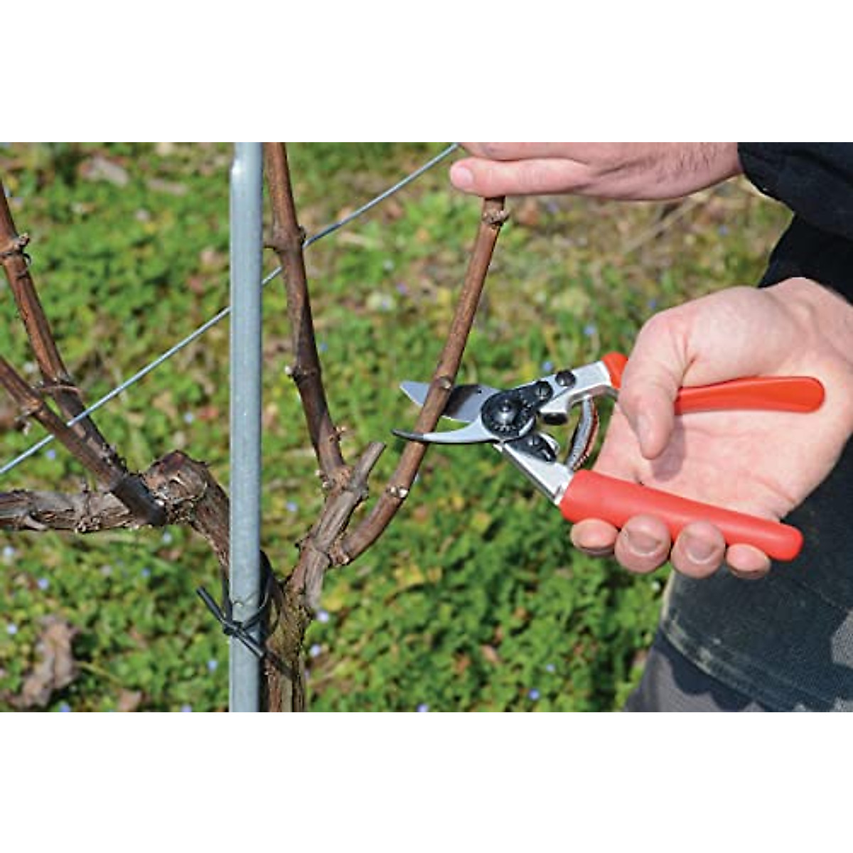 Felco Pruning Shears (F 12) - High Performance Swiss Made One-Hand Garden Pruner with Steel Blade