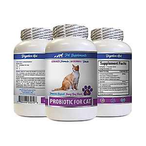 PET SUPPLEMENTS cat Digestive enzymes - CAT PROBIOTIS - Immune Support - Savory Beef Flavor - Natural Formula - cat probiotics for Vomiting - 1 Bottle (60 Treats)