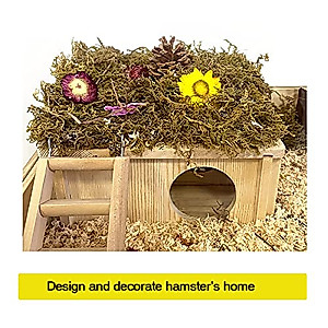 WEWAYKGJ Hamster Wood House Hideout 2-Chamber Hamster Wooden House Multi-Chamber Hamster Habitats Decor for Dwarf Chinchilla Mice Gerbils Gerbils Mouse and Other Small Rodents  