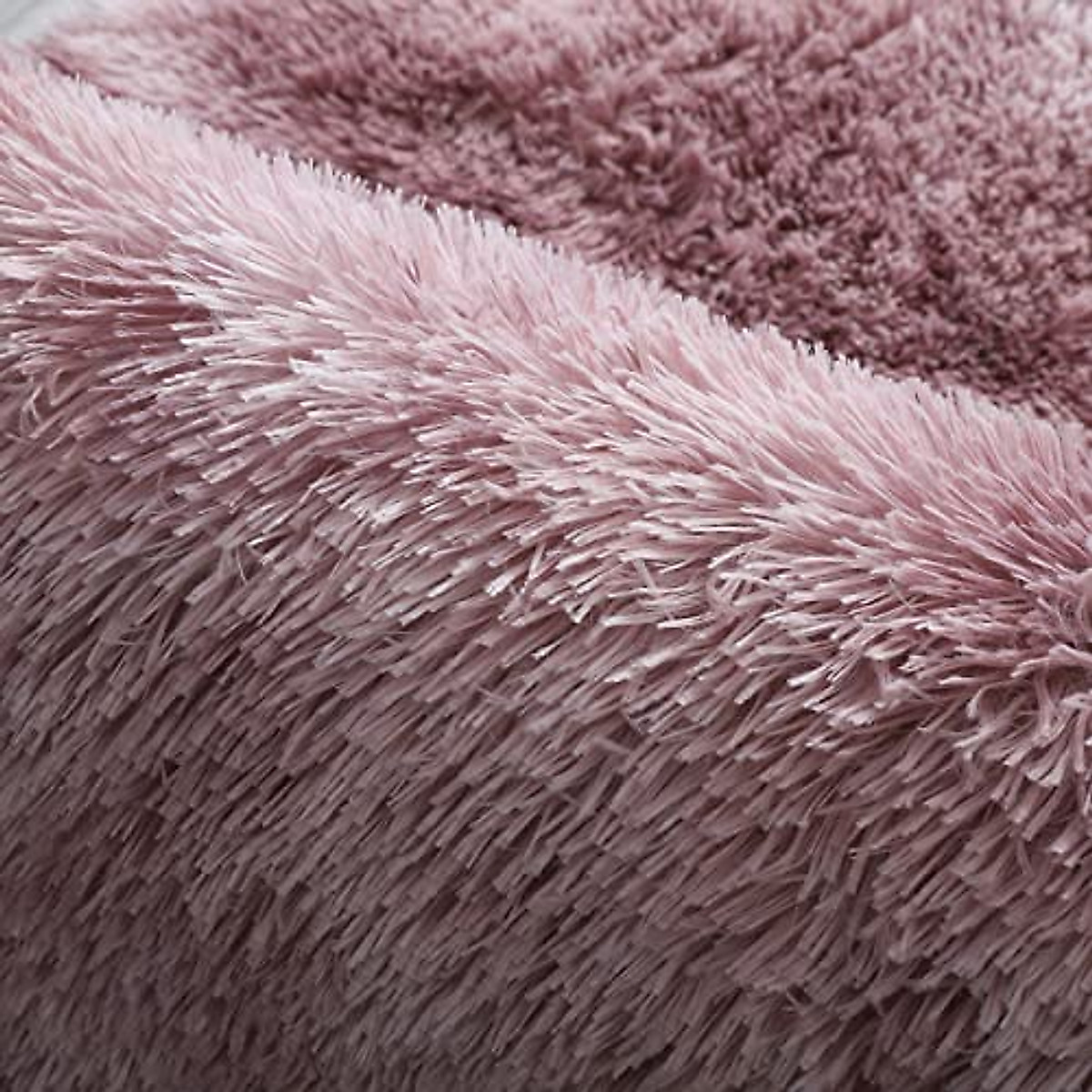 TEWWET Fluffy Rugs for Bedroom 6x9, Soft Shaggy Bedroom Rug, Fuzzy Plush Area Rugs for Dorm Living Room Kids Room, Non-Slip Indoor Floor Accent Area Carpet（Pink）