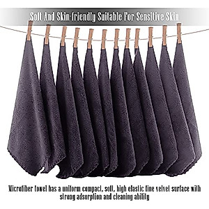 TENSTARS 12 Pack Premium Washcloths Set - Quick Drying- Soft Microfiber Coral Velvet Highly Absorbent Wash Clothes - Multipurpose Use as Bath, Spa, Facial, Fingertip Towel (Grey)