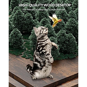 SIAGO Electric Standing Desk Adjustable - 48 x 24 Inch Sit Stand Desk with Cable Management - 3 Memory Preset Stand up Computer Table Desks for Home Office Work