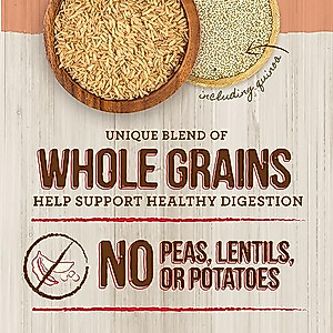 Merrick Healthy Grains Premium Adult Dry Dog Food, Wholesome And Natural Kibble With Salmon And Brown Rice - 4.0 lb. Bag