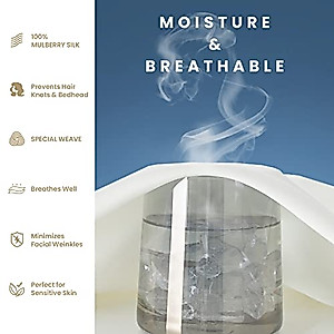 silkcase Silk Pillowcase for Hair and Skin, Soft Breathable Smooth No-Static Pillow Cover, 22 Momme 600 Thread Count with Hidden Zipper, Both Sided 100% Pure Slip Silk Pillowcase(Queen, Lvory White)