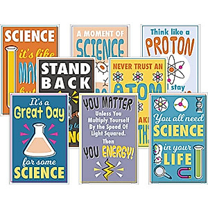 Teacher Created Resources McDonald Publishing Science Fun Charts (P175), 11 x 17 Inch, Multicolor