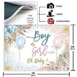 Avezano Boy or Girl Gender Reveal Backdrop Pink or Blue Balloons Gender Reveal Party Decorations Boho Pampas Grass Oh Baby Sign Photoshoot Background Banner (7x5ft)