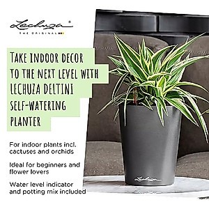 Lechuza 14900 Deltini Self-Watering Planter for Indoor and Outdoor Use, 6" x 6" x 7", White
