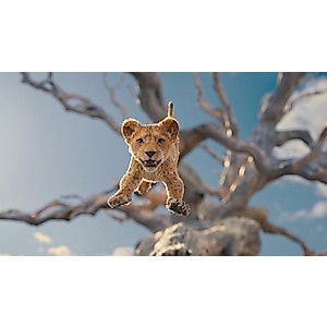 Mufasa: The Lion King - DVD