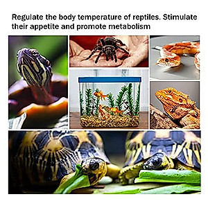 14W Reptile Heating Pad&Reptile Reflective Insulation Film Under Tank Terrarium Keep Warming Pet Animals Heater Heating Pad Mat Reptile