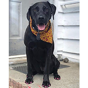 Warren London Pawdicure Dog Nail Polish Pen | Non Toxic, Odorless, & Fast Dry | Made in USA | Neon Pink