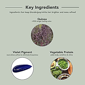 Framesi Color Lover Dynamic Blonde Purple Shampoo, 3.4 fl oz, Violet Shampoo for Color Treated Hair