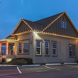 HLO Lighting Set of 25 Yellow C9 Christmas Lights | Faceted C9 LED Christmas Light Bulbs for Indoor & Outdoor Use | Durable C9 LED Lights | Replacement C9 Bulbs