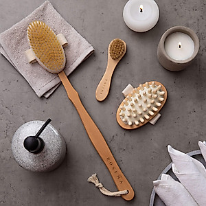 Dry Brushing Body Brush Set – Natural Bristle Spa Exfoliator Kit with Face Cleansing Brush, Long Dry Brushing Body Brush for Lymphatic Drainage & Massaging Cellulite Brush for Smooth, Radiant Skin