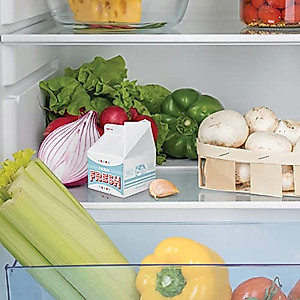 Genuine Fred FRESH PINT, Milk Carton Fridge Deodorizer