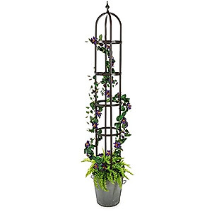 Plow & Hearth Metal Garden Obelisk | Indoor/Outdoor | Powder-Coated Steel | Trellis for Climbing | Floral Pattern | 11" Dia. x 8'H | Bronze