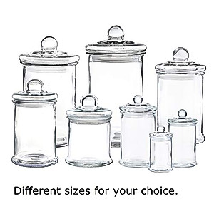 WHOLE HOUSEWARES 1.4 Gal Glass Apothecary Jar, 7.5X14 Inch Canister Set with Ball Lid 1 Piece