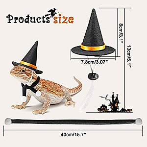 Rypet Bearded Dragon Halloween Costume - Lizard Wizard Hat with Scarf Halloween Costumes Set for Bearded Dragon Halloween Party