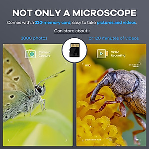 Andonstar AD203 Handheld Digital Microscope, Portable Pocket Microscope with 4 inch Screen for Kids and Adults, Black, Electronic FHD Video Microscope, Supports Windows Mac PC, USB Coin Microscope