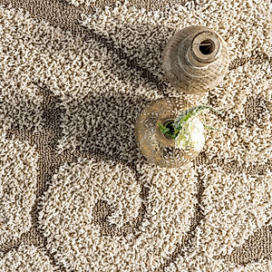 nuLOOM Maisha Contemporary Shag Area Rug, 5x8, Cream