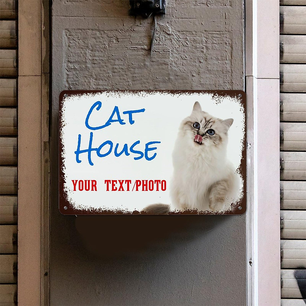 Custom Signs Outdoor Metal,Personalized Street Signs Personalized Plaque Address Signs for Houses With Name Customized Business Signs for Outside for Rent Sign No Weenies Allowed Sign (style 1)