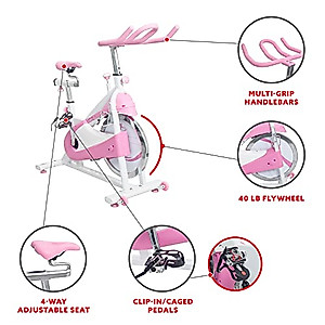 Sunny Health & Fitness P8150 Belt Drive Premium Indoor Cycling Bike, Pink
