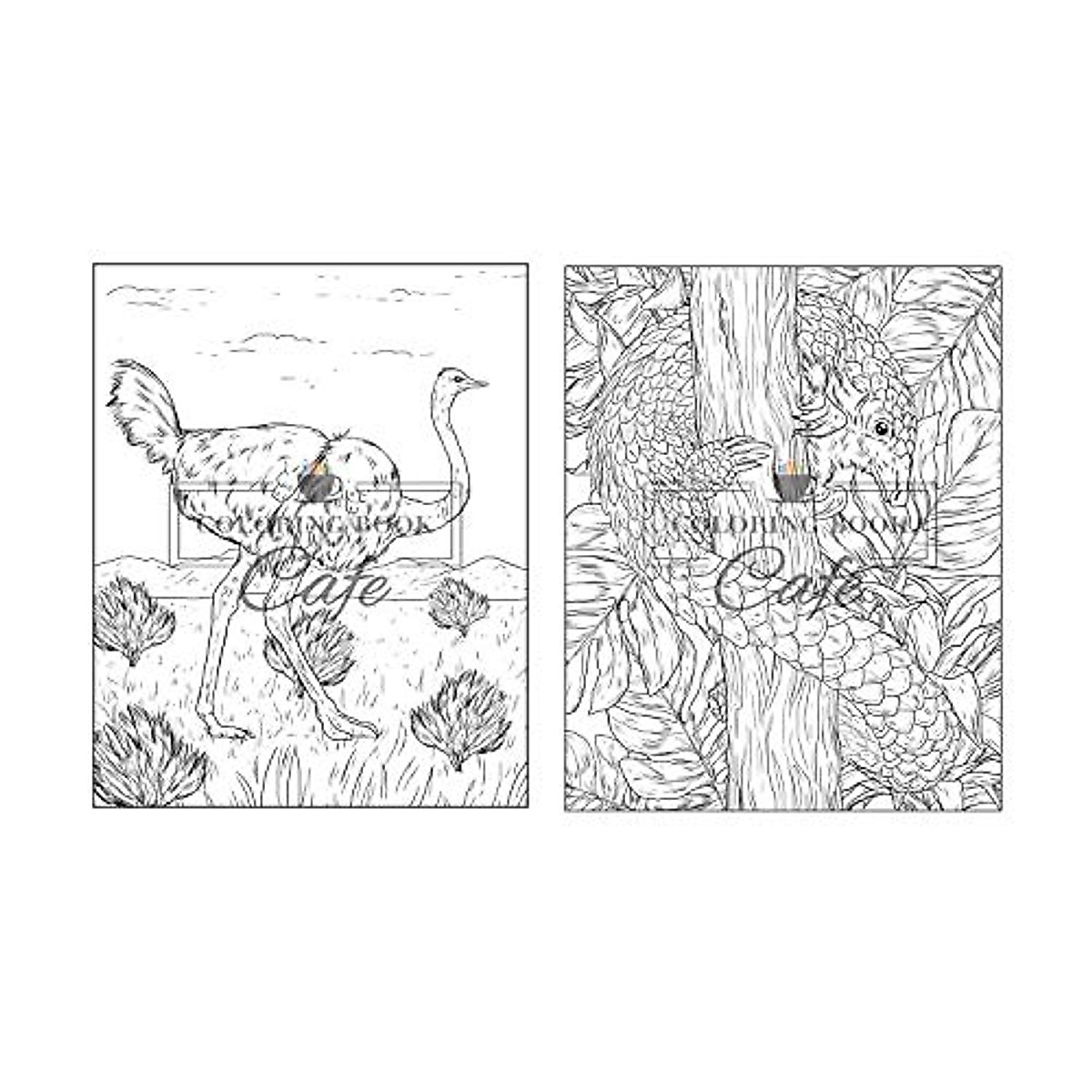 100 Wildlife Scenes: An Adult Coloring Book Featuring 100 Most Beautiful Wildlife Scenes with Animals, Birds and Flowers from Oceans, Jungles, Forests and Savannas