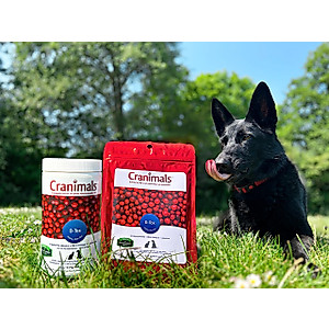 Cranimals D-Tox Supplement for Dogs, 4.2 oz