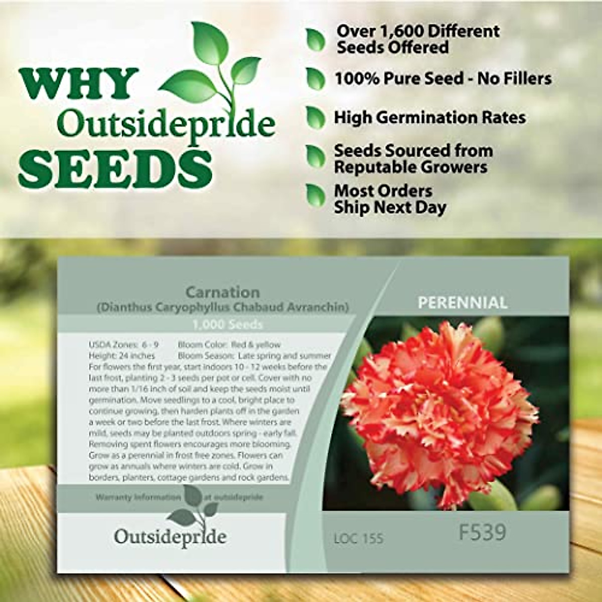 Outsidepride Dianthus Carnation Chabaud Avranchin Garden Cut Flower - 1000 Seeds