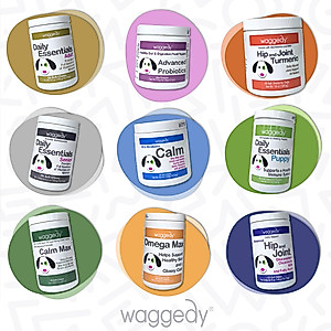 waggedy Great Start Puppy Bundle Multivitamin & Calm Aid – Large or Small Breed Puppy Supplement: Stress, Anxiety, Joint, & Immune System Support (One to Two Month Supply) 120 Puppy Treats