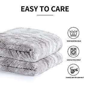 Aisbo Soft Faux Fur Blanket Throw Grey - Luxury Fuzzy Fluffy Warm Throw Blankets for Couch, Sofa, Thick Shaggy Small Blanket Tie Dye, 50x60 Inch