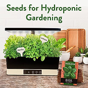 15 Culinary Herb Seeds Vault - Heirloom & Non GMO (2X More) 4900+ Seeds for Planting Indoor or Outdoor Herbs Garden | Gardening Gift for Men Women - Basil, Cilantro, Chives, Lavender, Mint, Thyme