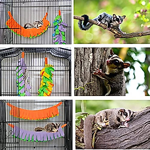 FABMODE 2 Packs Small Pet Toys, Sugar Glider Cage Accessories, Climbing Toys Swing Toys, Suitable for Ferret Birds Parrots Hamster Squirrel Chinchilla Guinea Pigs (with one Water Bowl)