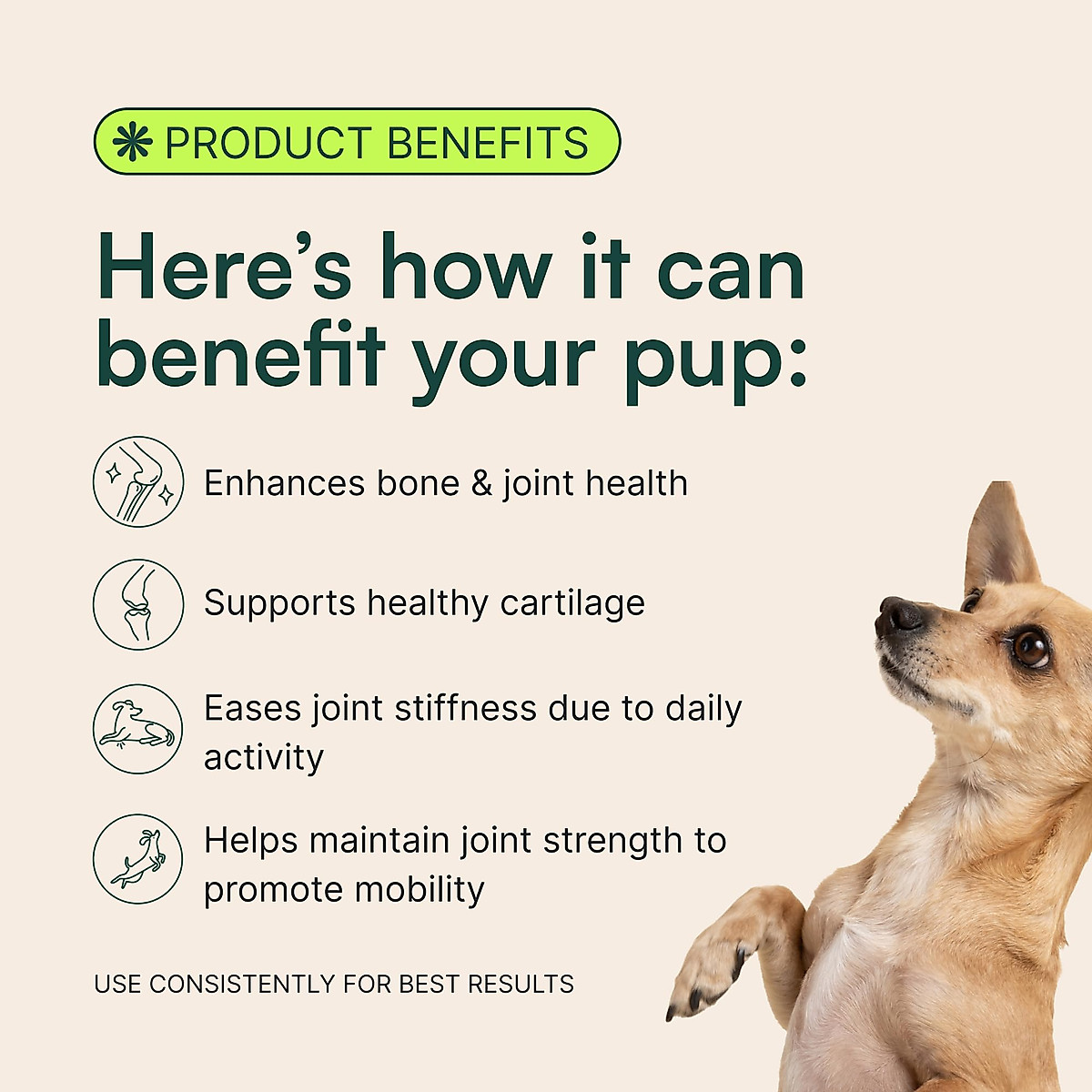 Wuffes Advanced Joint Liquid for Dogs - Hip & Joint Support Supplement with Glucosamine, Chondroitin, UC-II® Collagen, and MSM, for Small & Large Breeds - 16 Oz