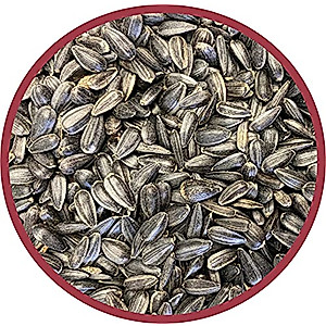 Pennington Select Black Oil Sunflower Seed Wild Bird Feed, 40 lbs