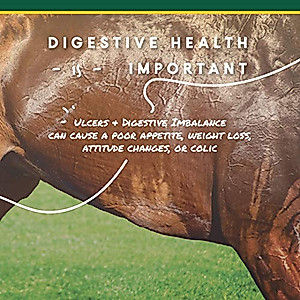 Corta-Flx U-Gard Pellets |All Natural Equine Digestive Supplement to Maintain Gastric Health | Helps Prevent Ulcer Formation | 10 LB