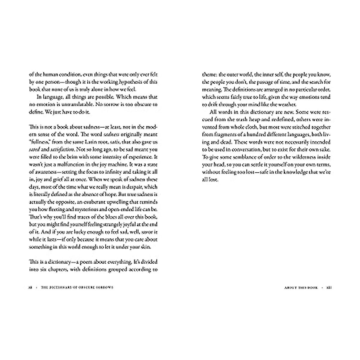 The Dictionary of Obscure Sorrows